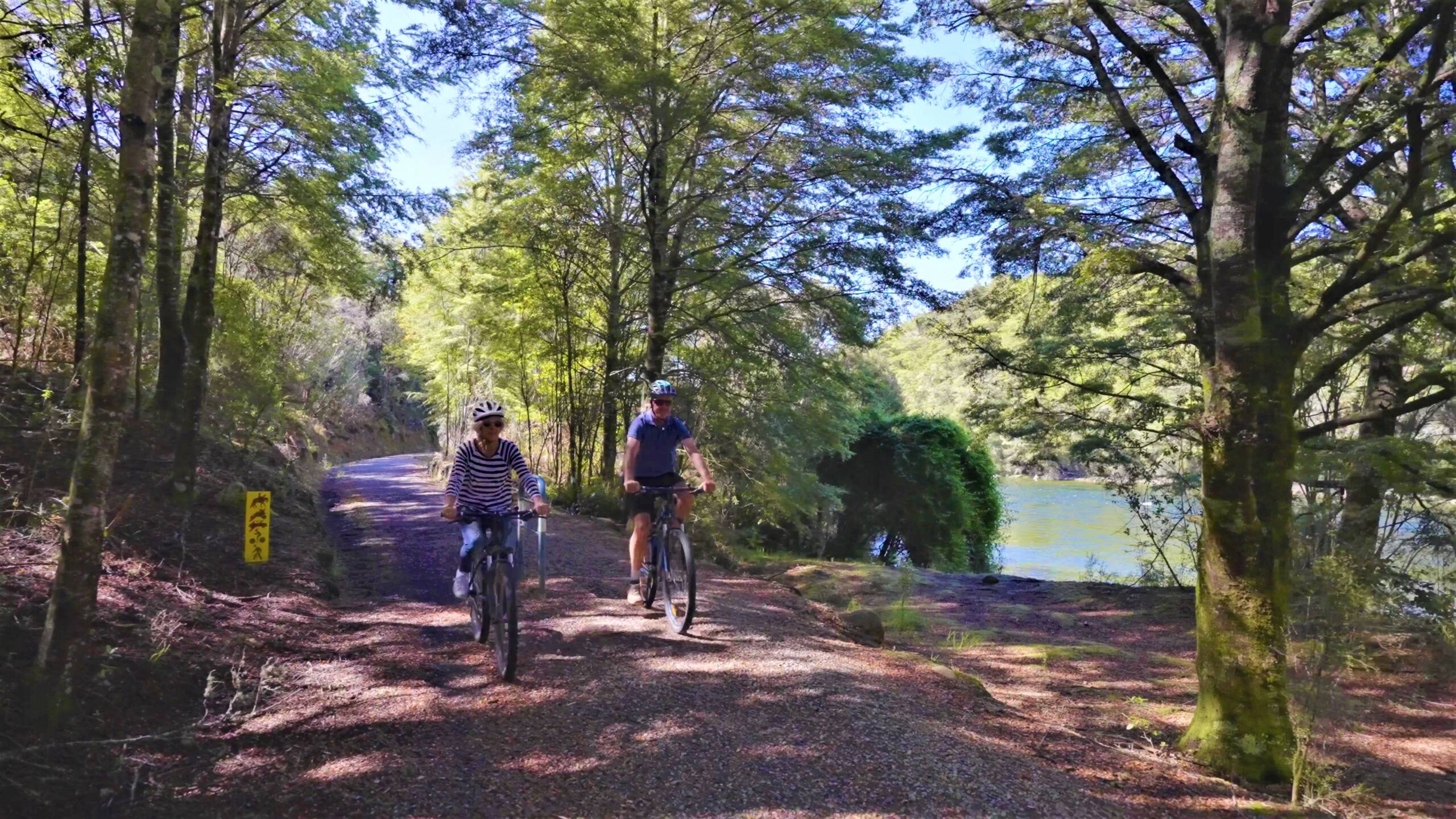 River Bike Ride & Jet Boat Combo | Fiordland Jet