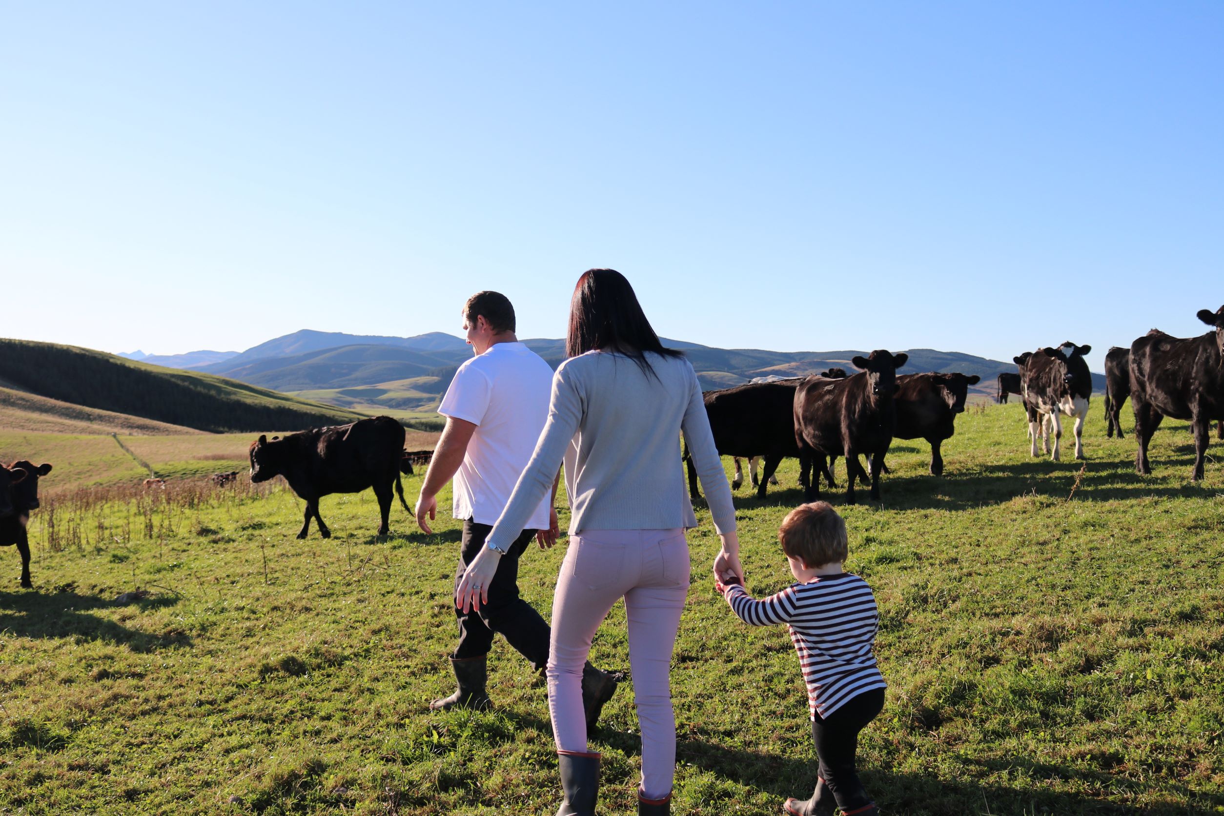 Farm Tours | Experience New Zealand Farming | Fiordland Jet